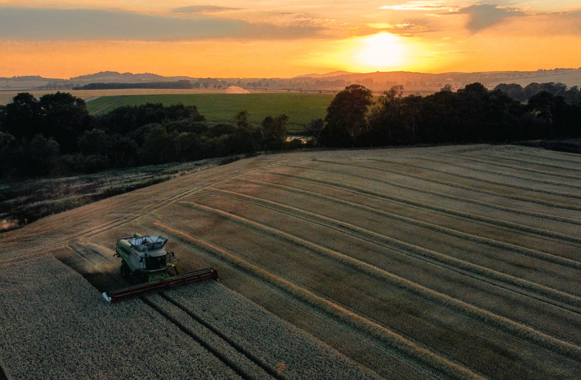 Contact Ravensby Firewood | Dundee, Fife, Perth & Angus Logs