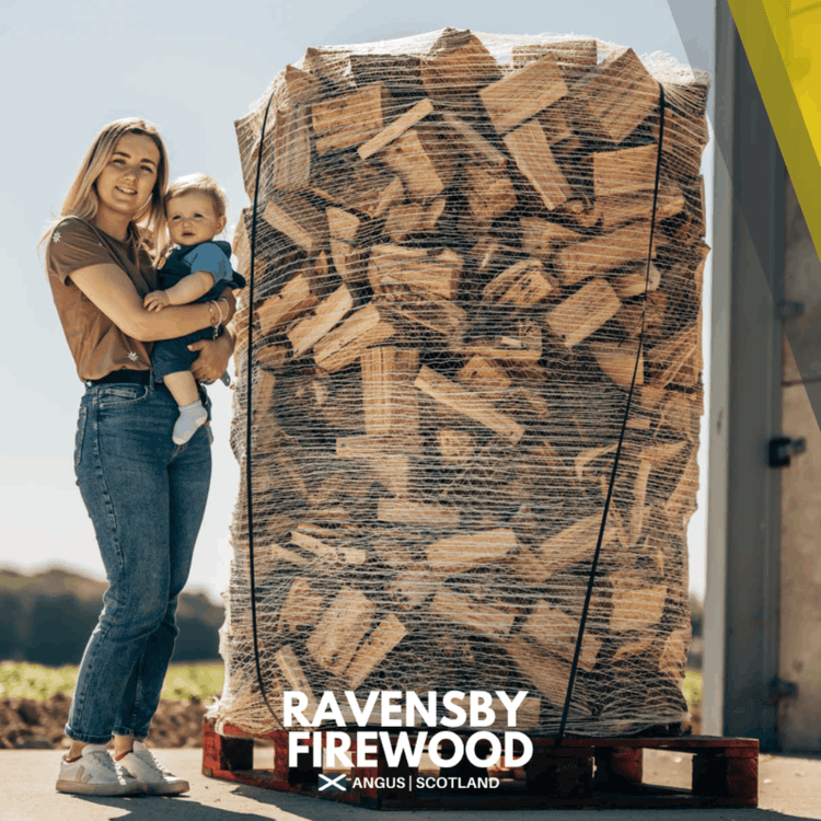 Ash vs Birch: Which Firewood Burns Better in Your Stove?